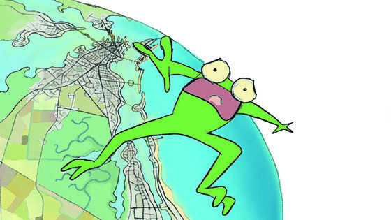 Traverse City Film Festival - Frog